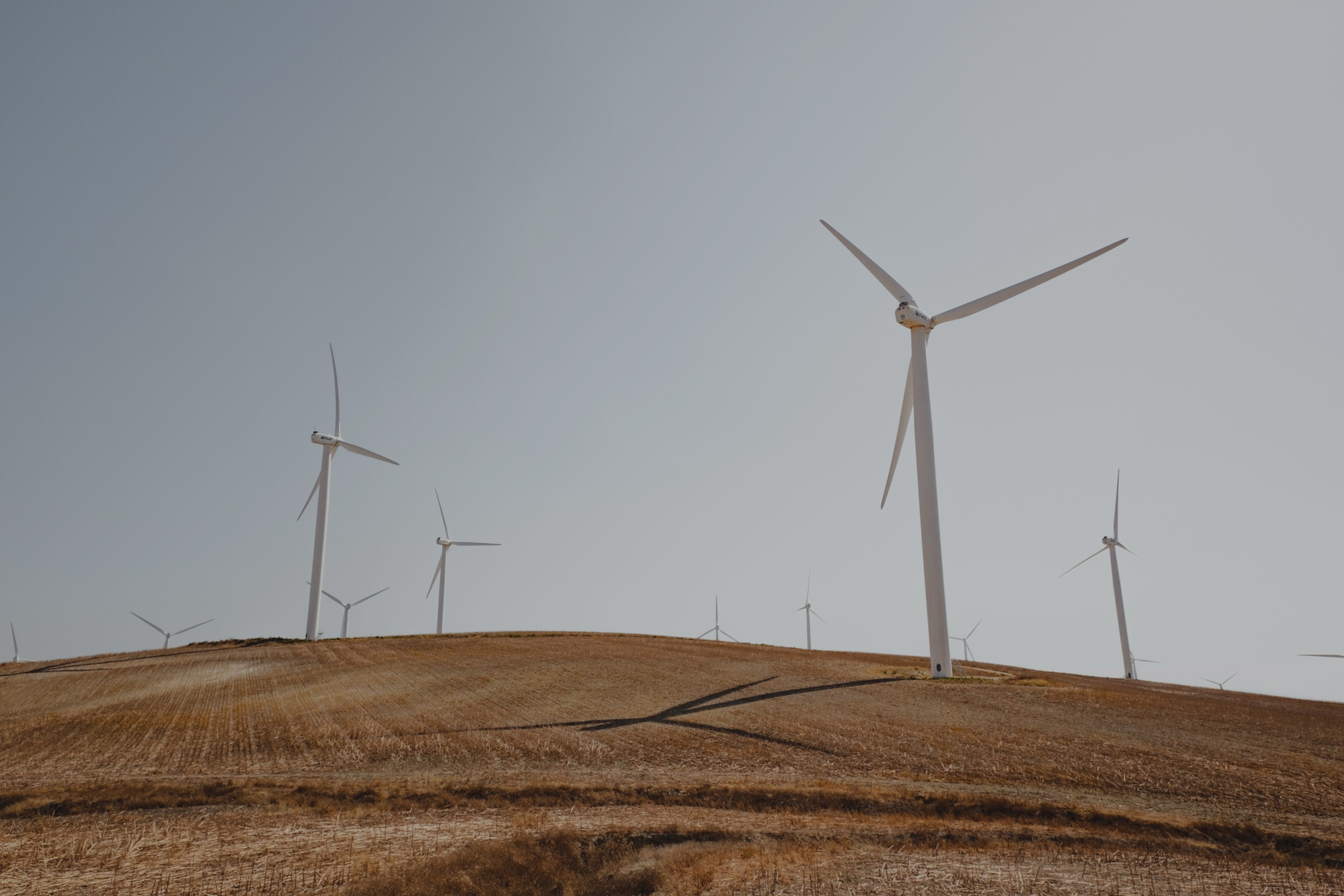 PwC Net Zero Future50 report PwC Net Zero Future50 report